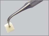 Grafton DBM Matrix Plugs : 歯科材料の輸入通販:スマイルUS